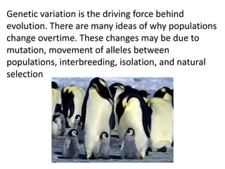Theory of evolution notes | PPT