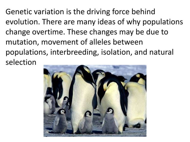 Theory of evolution notes | PPT