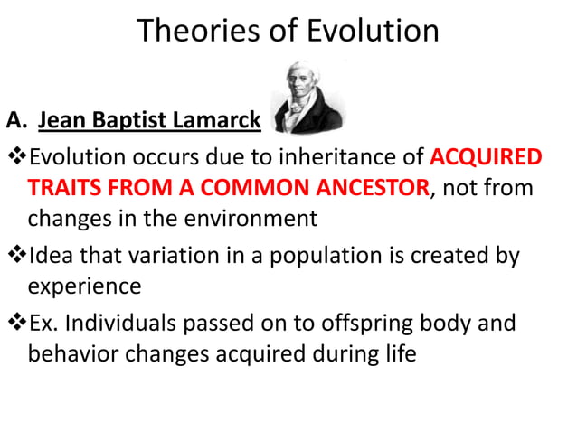Theory of evolution notes | PPT