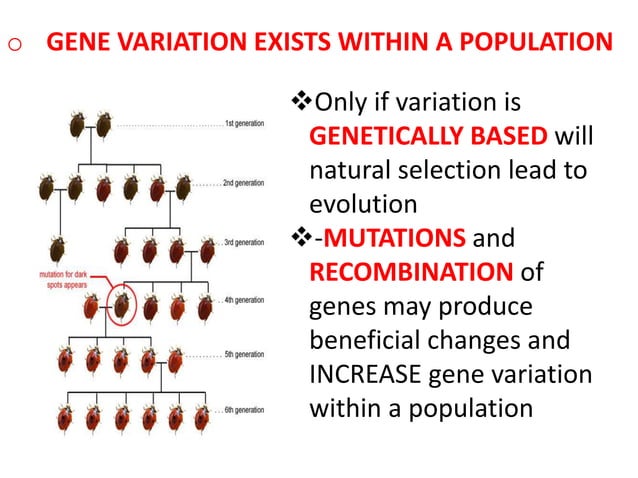 Theory of evolution notes | PPT