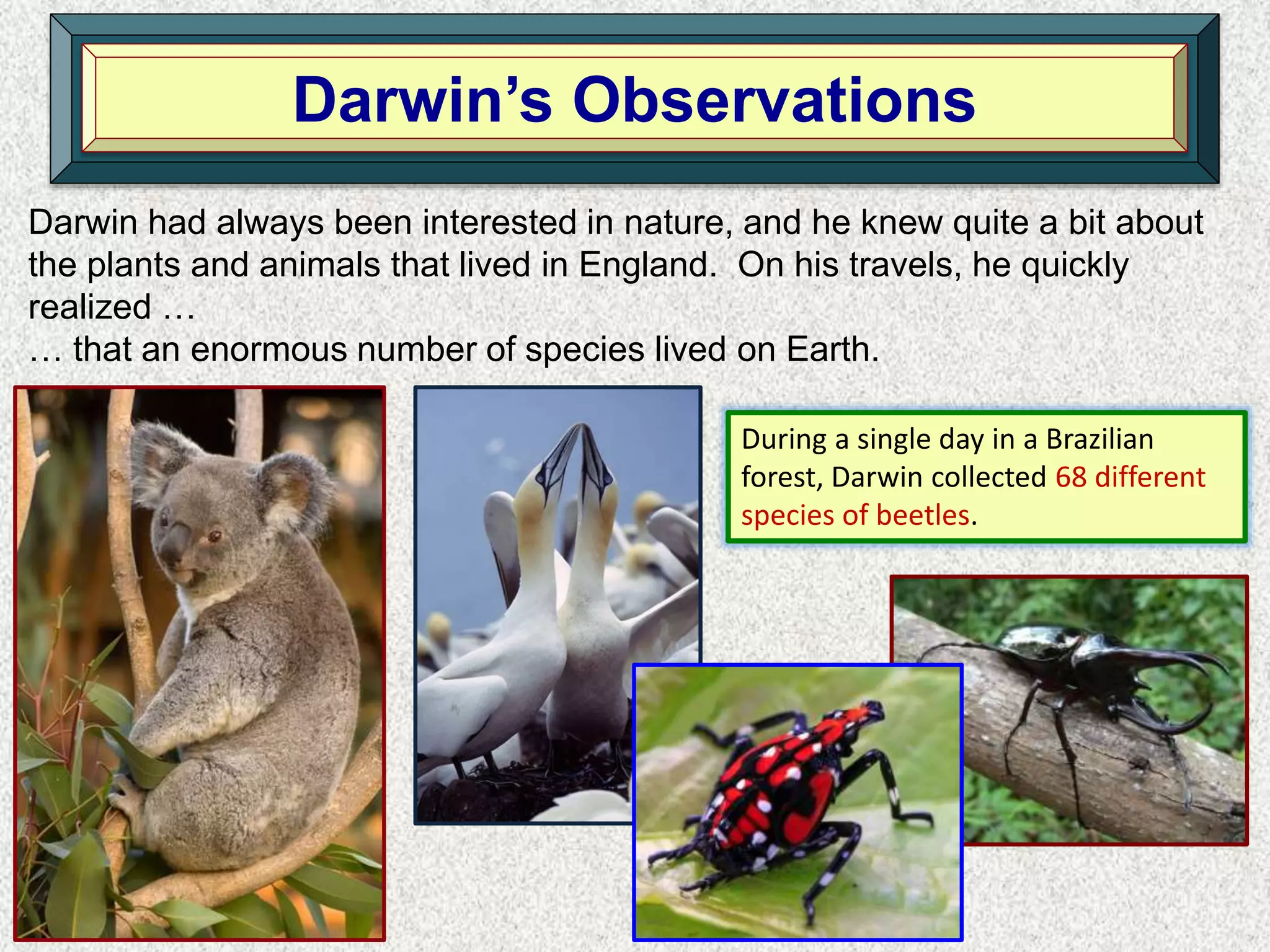 Theory of evolution power point | PPTX
