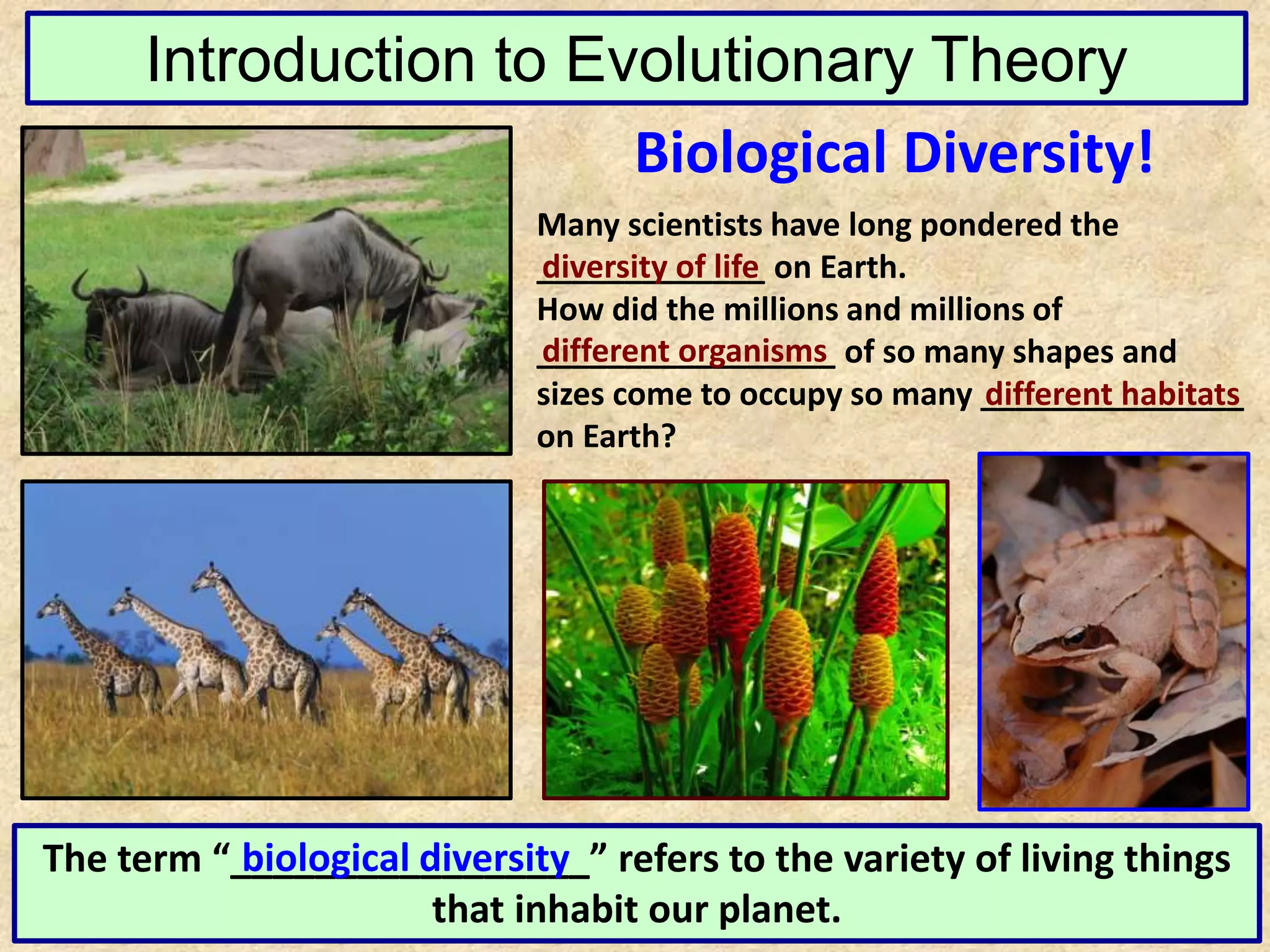 Theory of evolution power point | PPTX