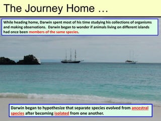 Theory of evolution power point | PPTX