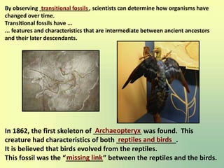 Theory of evolution power point | PPTX