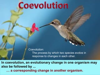 Theory of evolution power point | PPTX