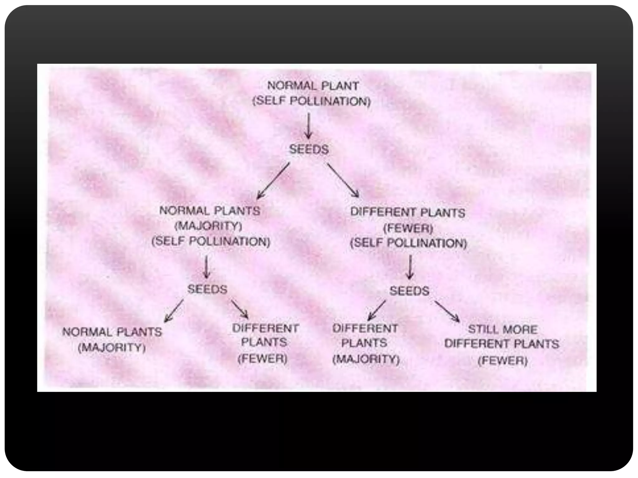 Theory of evolution through mutation of Hugo de Vries | PPTX