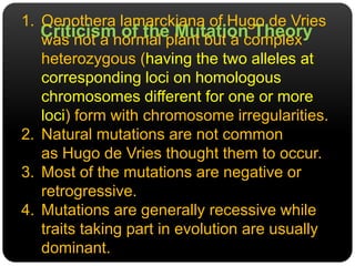 Theory of evolution through mutation of Hugo de Vries | PPTX