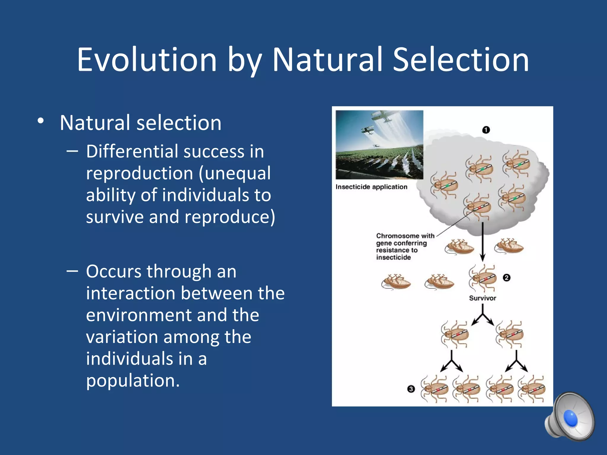 Theory of evolution with narration | PPT