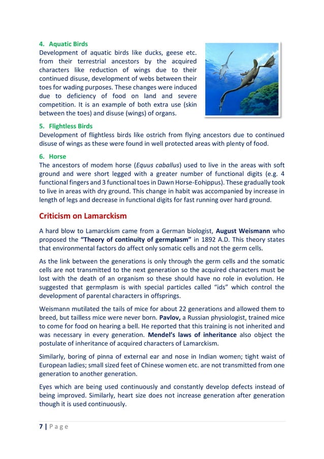 Theory of inheritance of acquired characters 1 | PDF | Genetics | Science