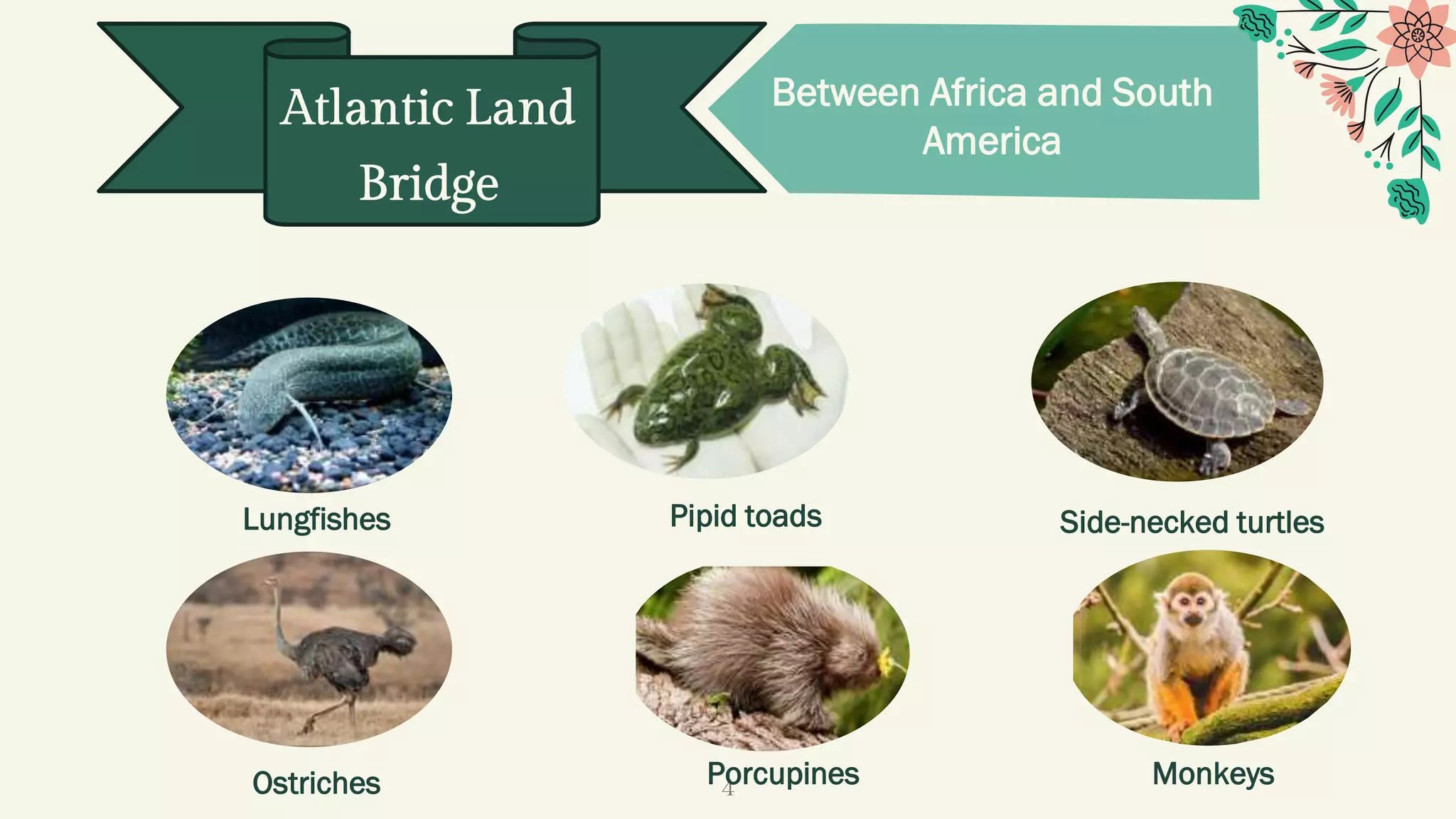 Theory of land bridges | PPTX