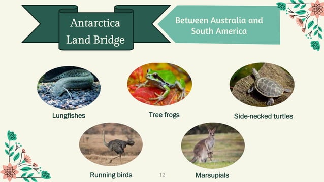 Theory of land bridges | PPTX