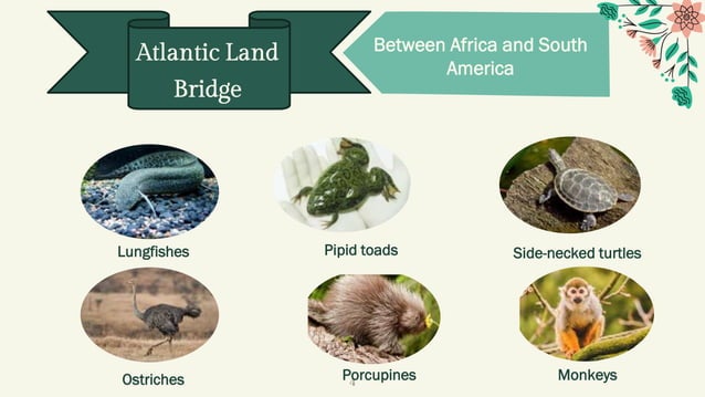 Theory of land bridges | PPTX