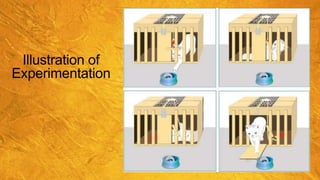 Theory of learning | PPT