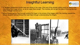 Theory of learning | PPT