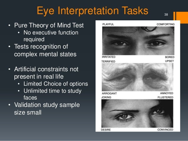 Theory Of Mind Seminar Presentation theory-of-mind-seminar-presentation