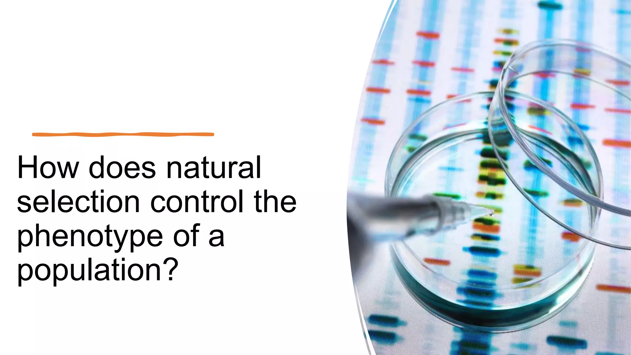 Theory of Natural Selection.pptx