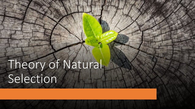 Theory of Natural Selection.pptx