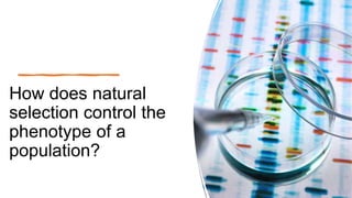 Theory of Natural Selection.pptx