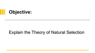 Theory of Natural Selection.pptx