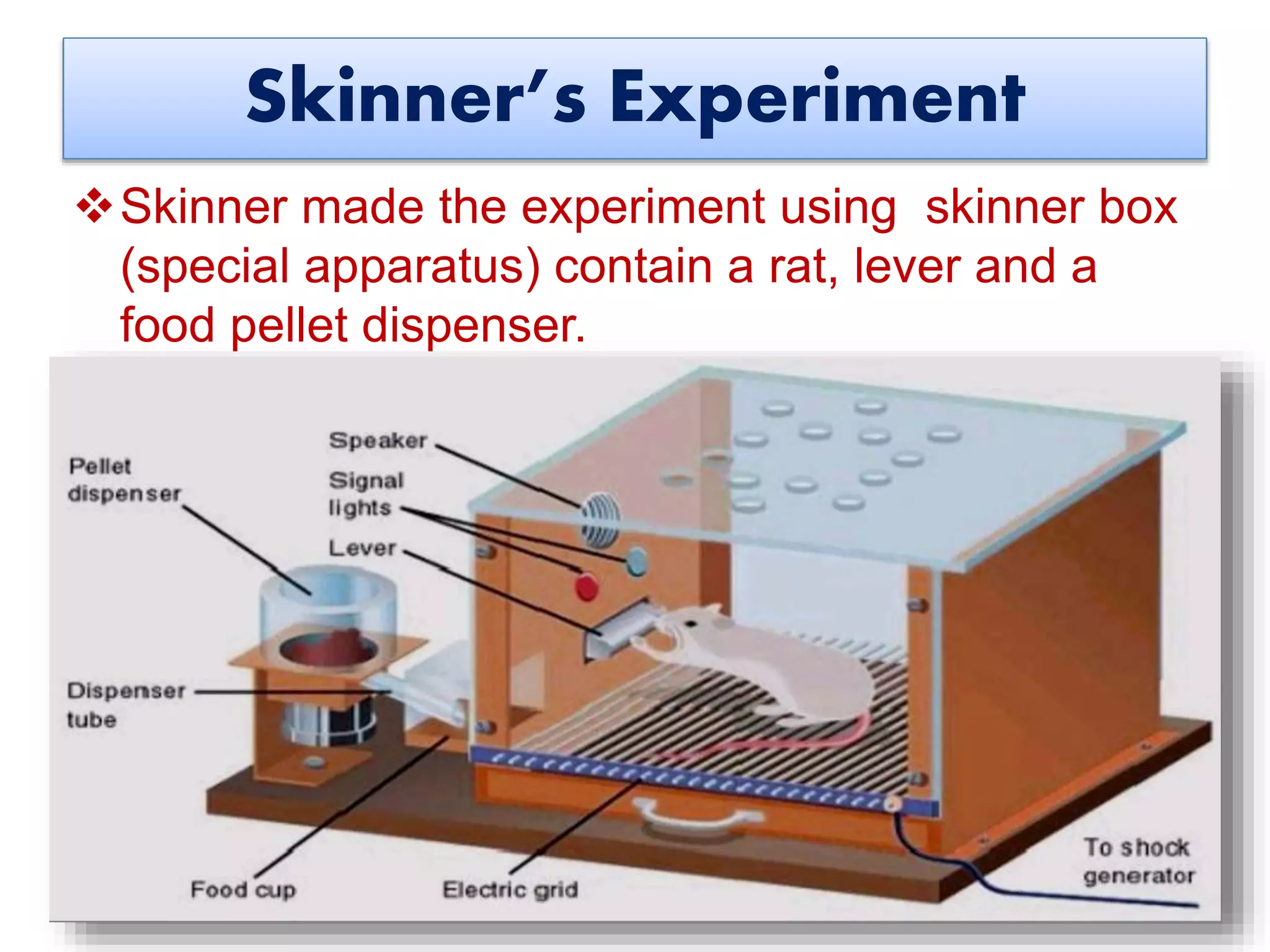 Theory of Operant Conditioning - B F Skinner | PPTX