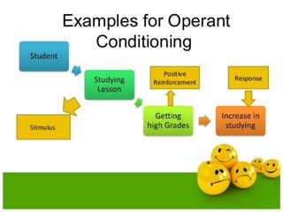 Theory of Operant Conditioning - B F Skinner | PPTX