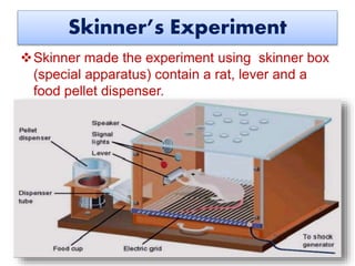 Theory of Operant Conditioning - B F Skinner | PPTX