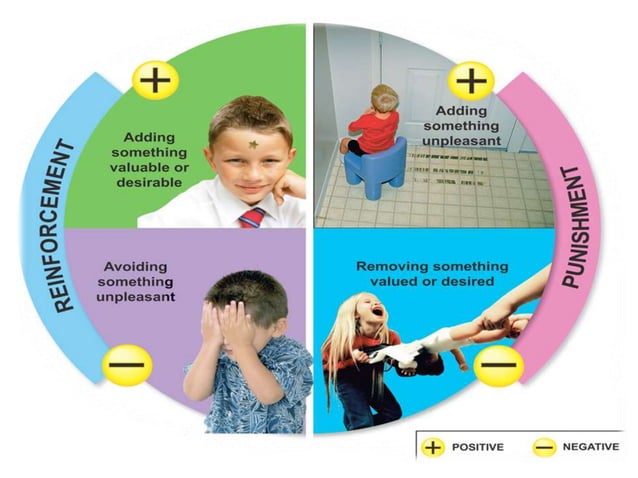 Theory of Operant Conditioning - B F Skinner