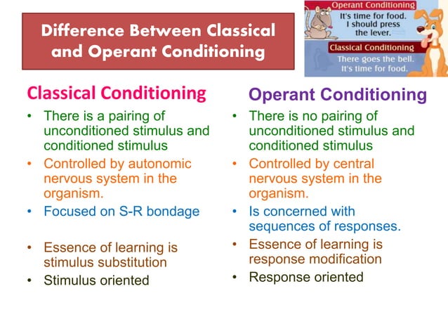 Theory of Operant Conditioning - B F Skinner