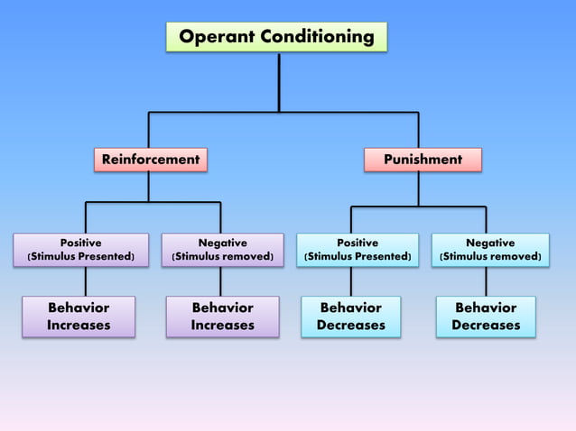Theory of Operant Conditioning - B F Skinner