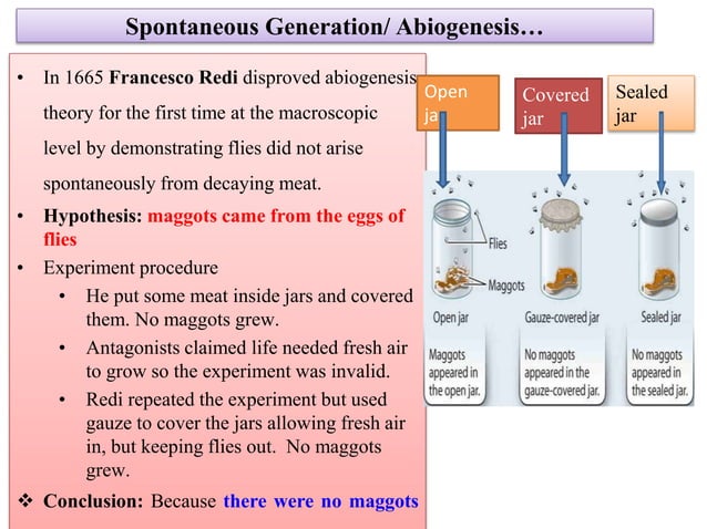 theory of origin of life.pptx | Chemistry | Science