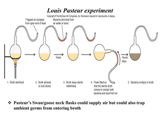 theory of origin of life.pptx