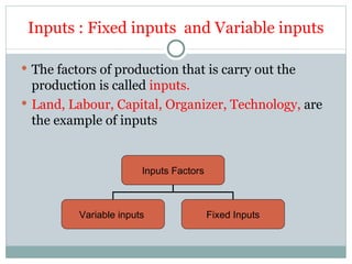 Theory of Production | PPT