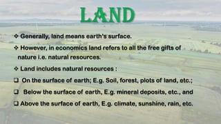 Theory of Production.pdf