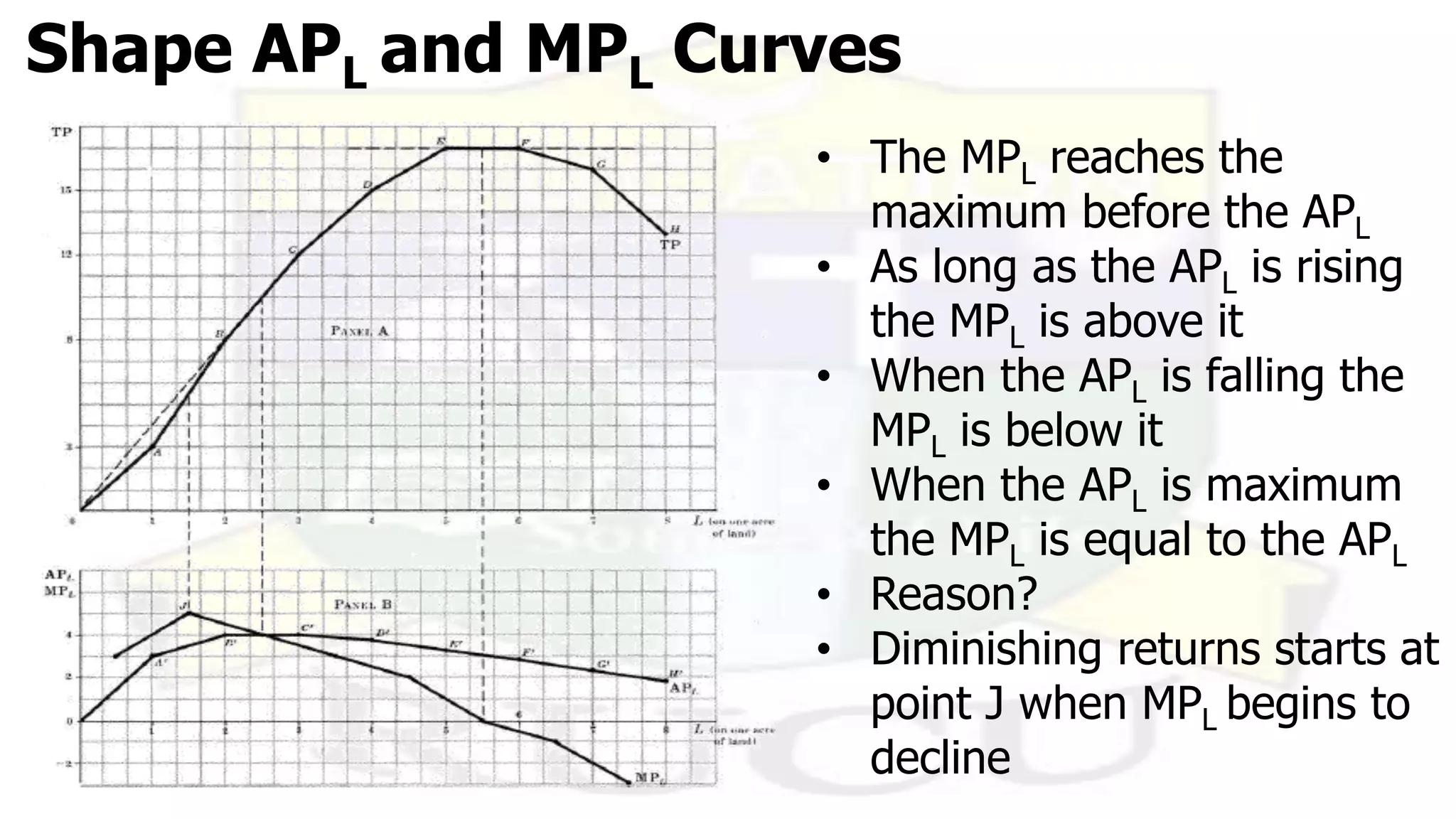 Theory of Production and Costs.pptx