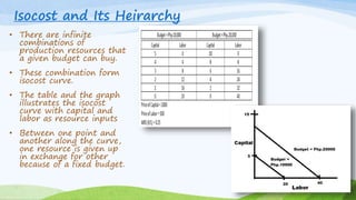 Theory of Production | PPTX