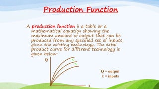 Theory of Production | PPTX