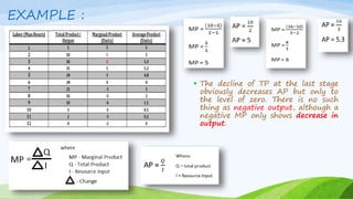 Theory of Production | PPTX