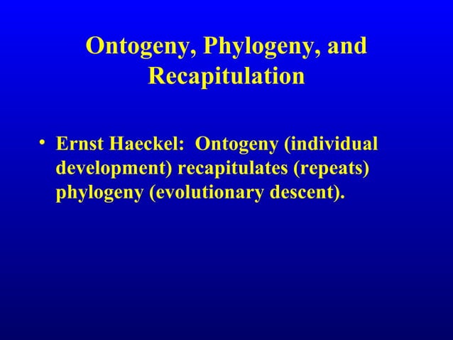 Theory of recapitulation | PPT | Biological Sciences | Science