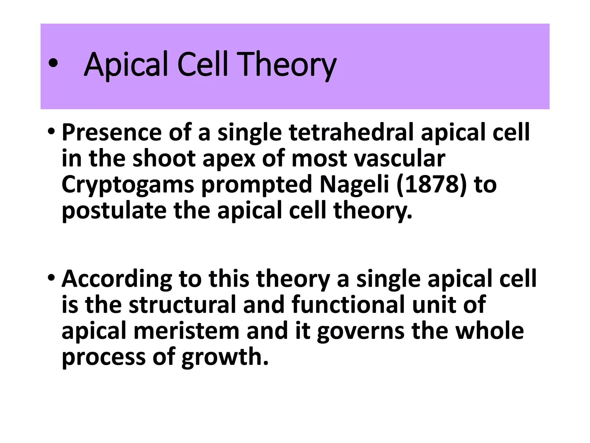 Theory of shoot apical meristem | PPTX