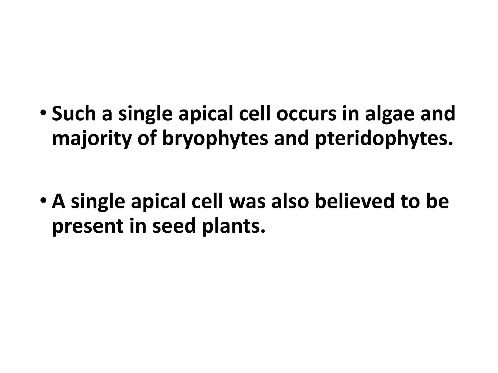 Theory of shoot apical meristem | PPTX