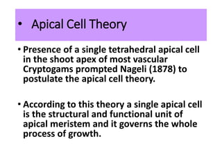 Theory of shoot apical meristem | PPTX