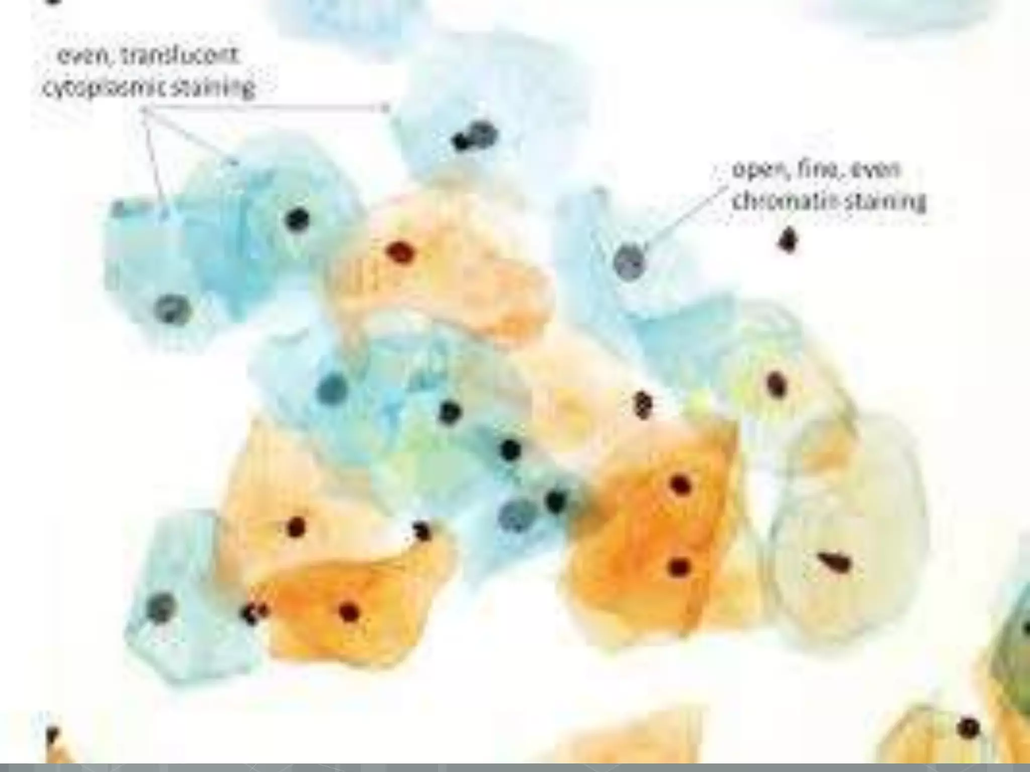 Theory of stain | PPTX