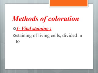 Theory of stain | PPTX