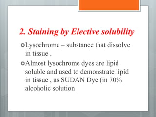 Theory of stain | PPTX