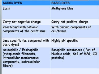 Basophil Metachromatic Stain