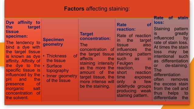 Theory of staining | PPTX