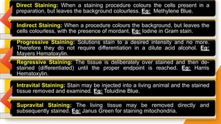 Theory of staining | PPTX