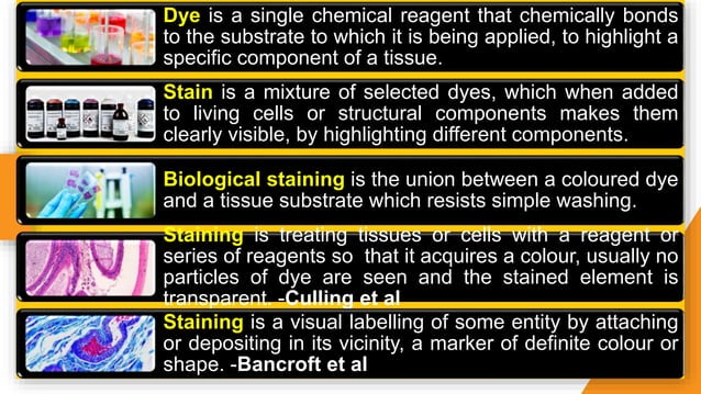 Theory of staining | PPTX