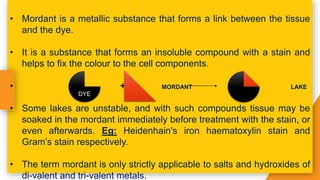 Theory of staining | PPTX