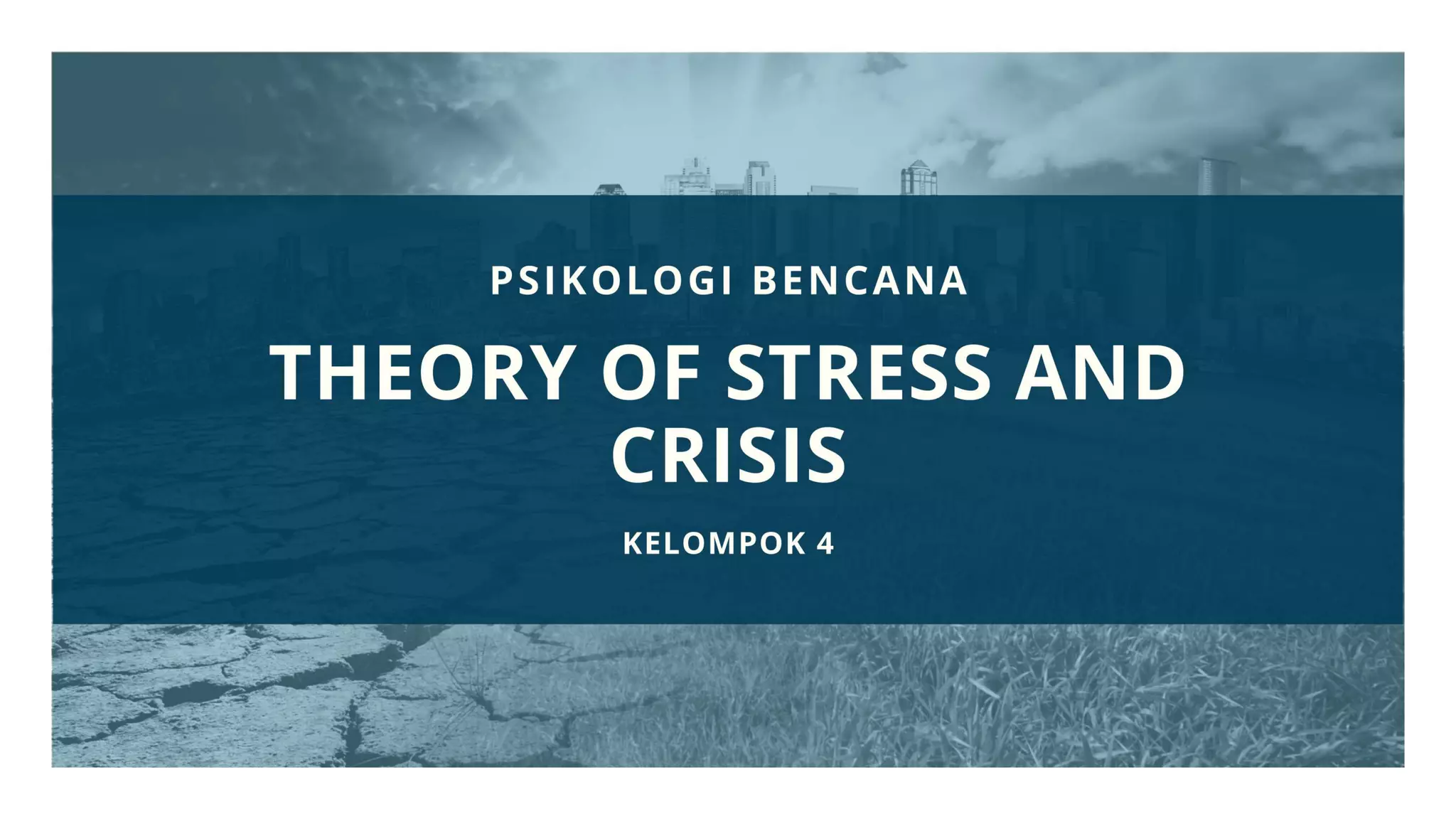 theory of stress and crisis | PDF